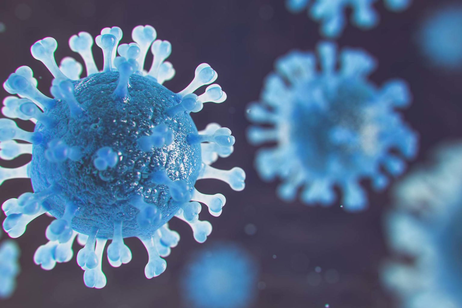 Novel coronavirus 2019-nCoV | Verduci